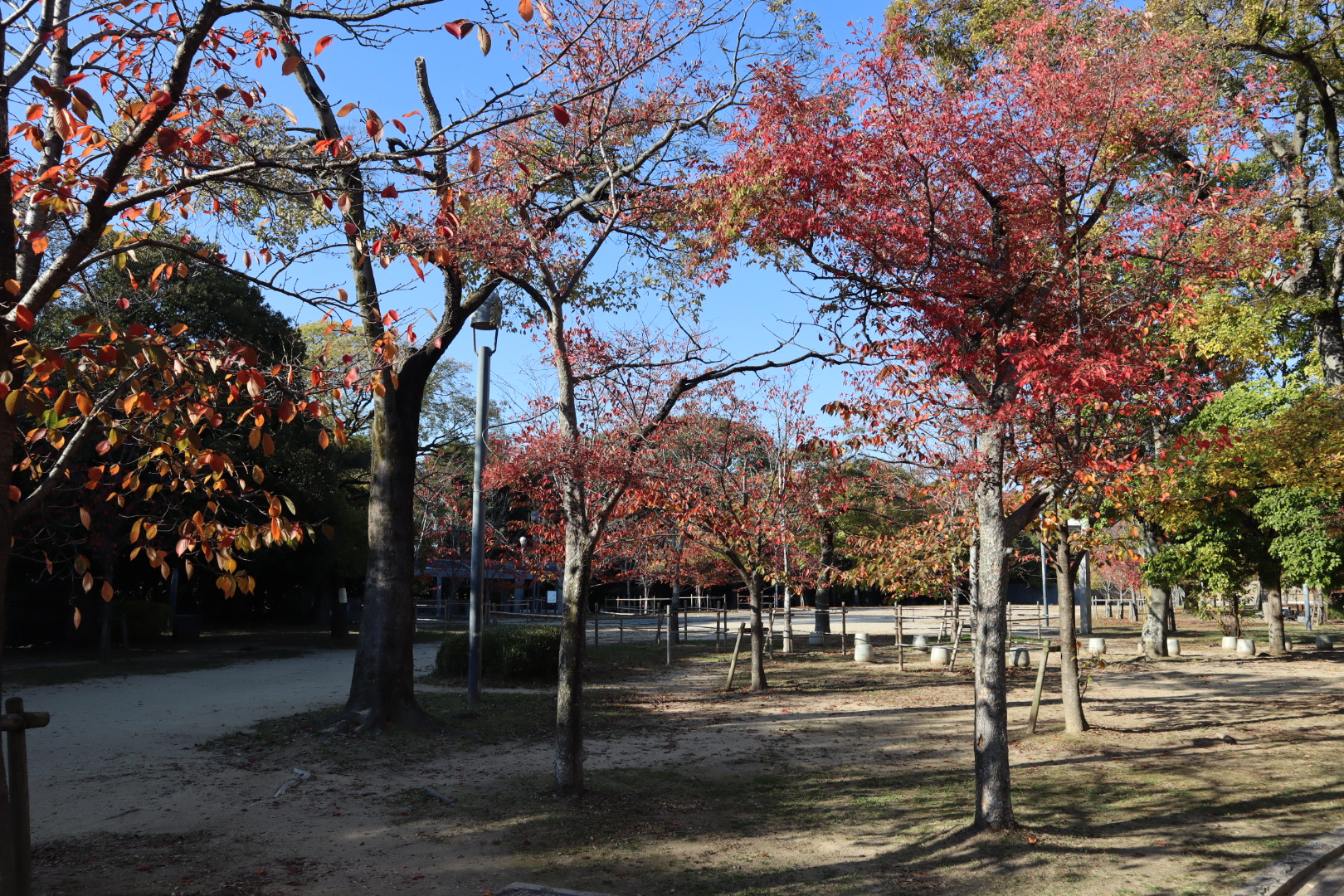 Serenity in the City: Hijiyama Park - Joy in HIROSHIMA