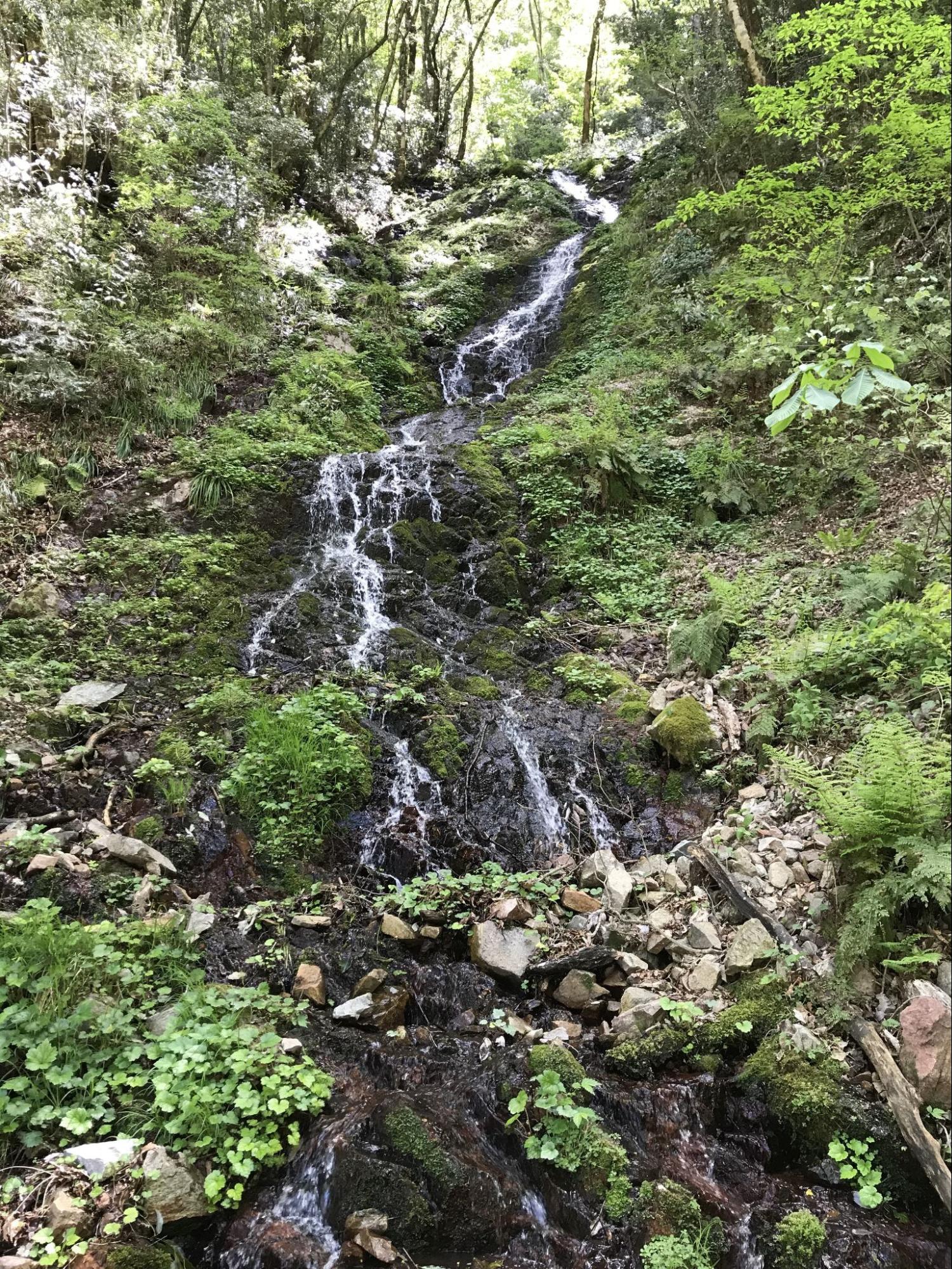 Sandan-Kyo: Three Rivers Gorge - Joy in HIROSHIMA