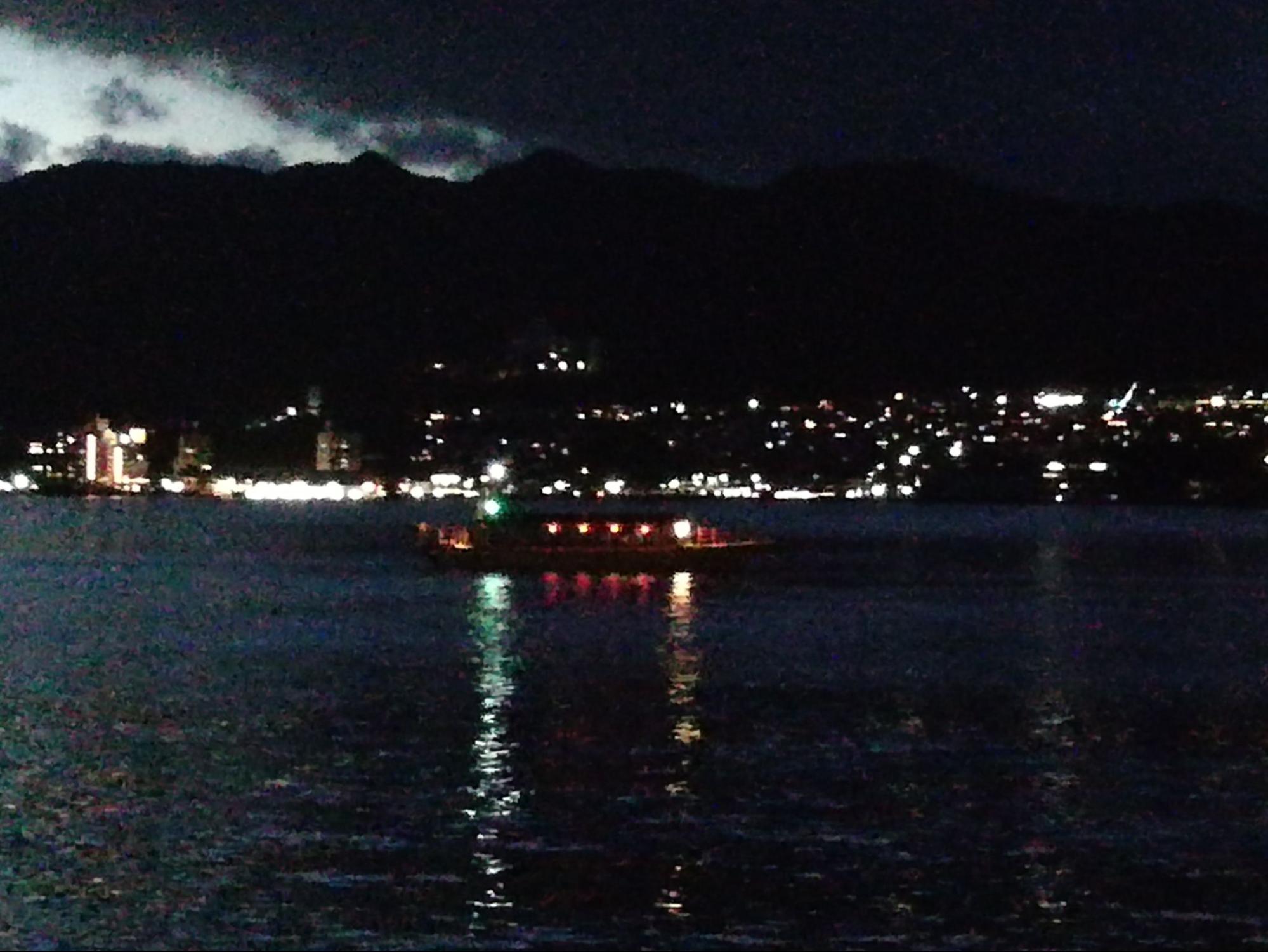 MIYAJIMA NIGHT CRUISE – Beautiful Torii Gate Light Up Seen From The ...
