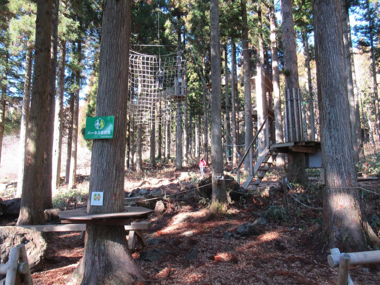 Zipping Across Hatsukaichi – Adventures at Mominoki Forest Park - Joy ...