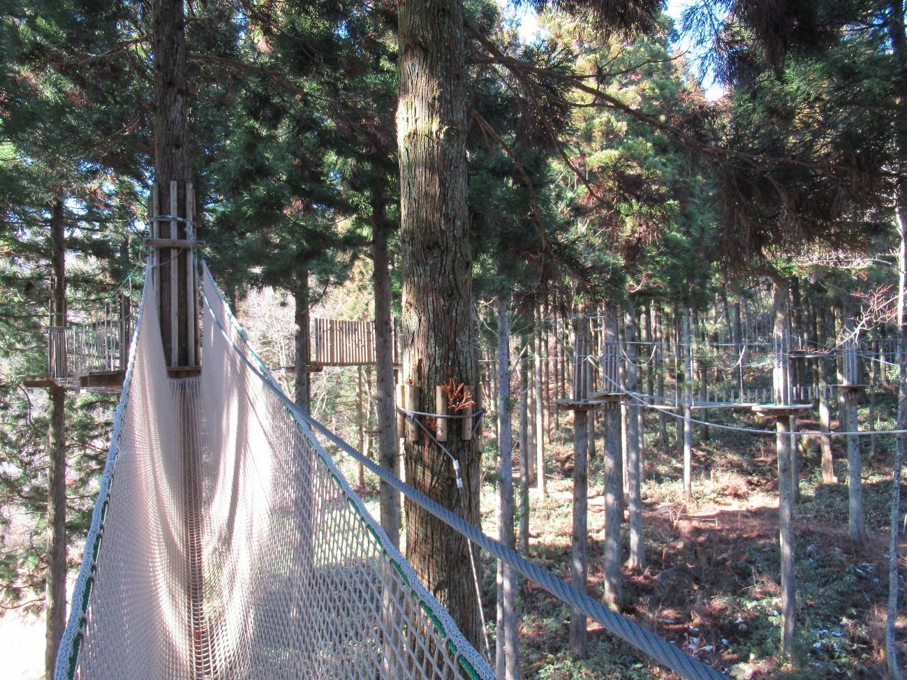 Zipping Across Hatsukaichi – Adventures at Mominoki Forest Park - Joy ...