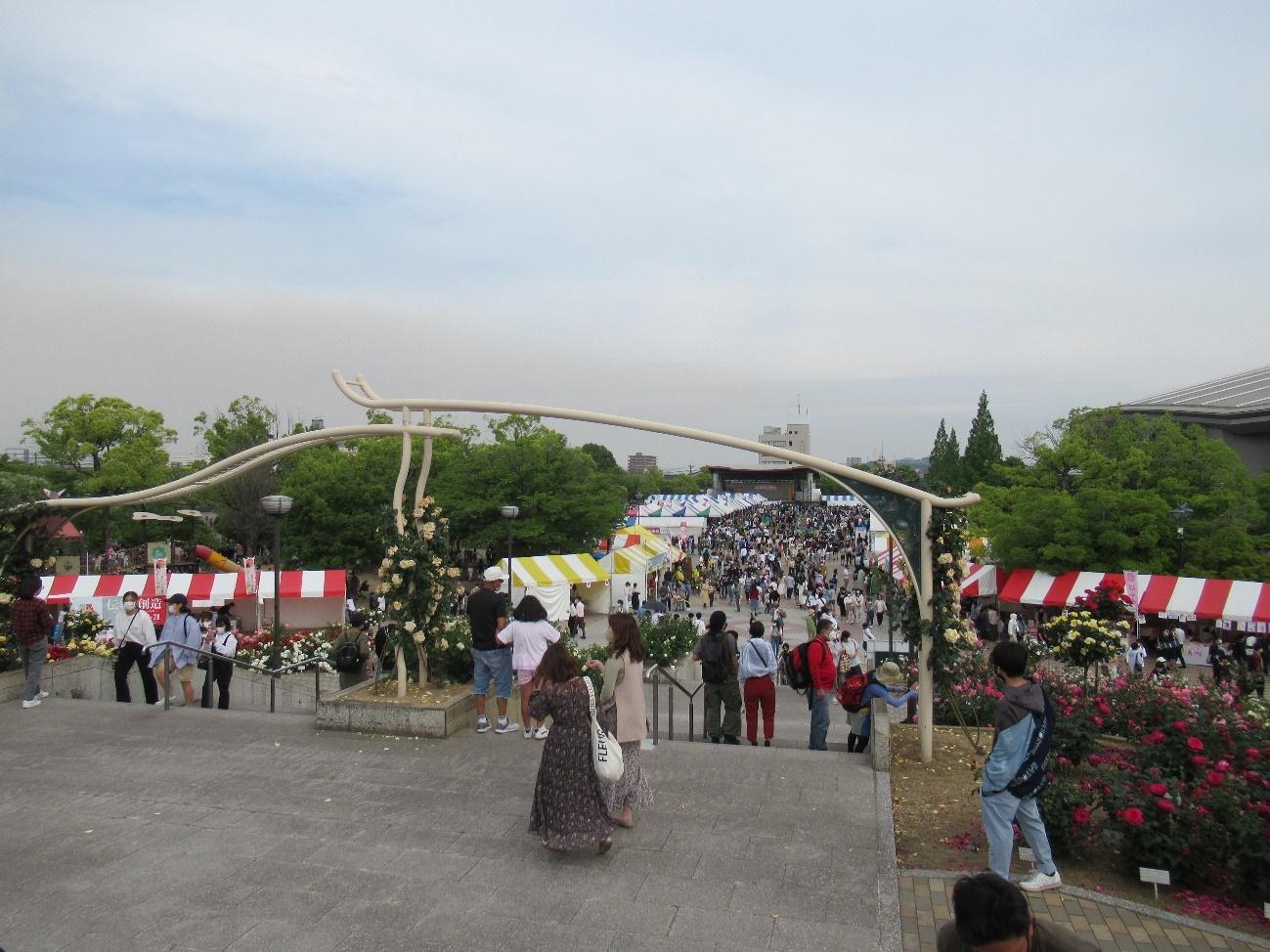 55th Annual Fukuyama Rose Festival: Blossoming from A Thorny Past - Joy ...