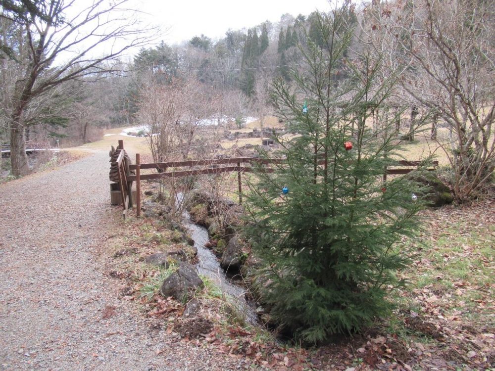 Zipping Across Hatsukaichi – Adventures at Mominoki Forest Park - Joy ...