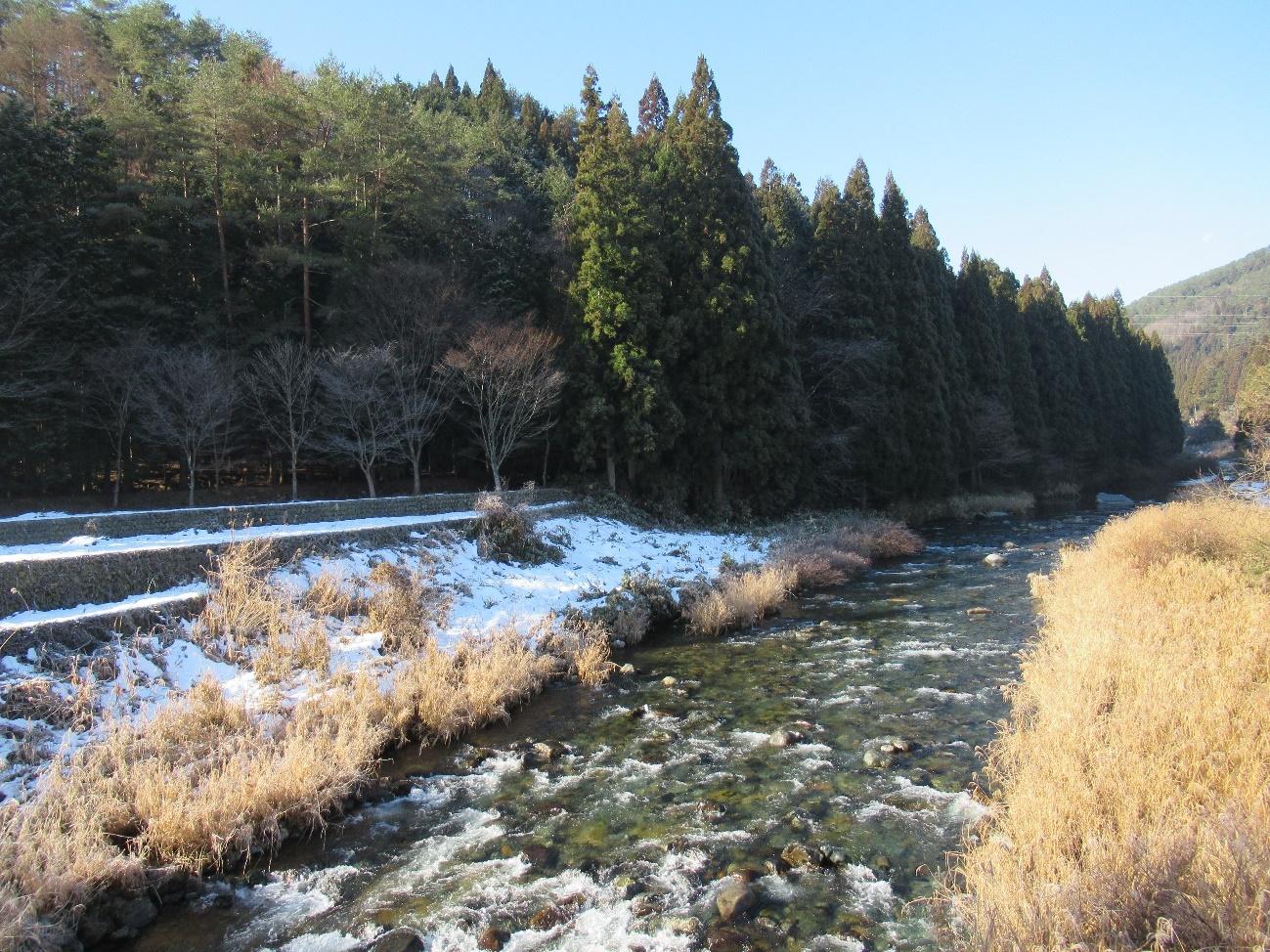 Zipping Across Hatsukaichi – Adventures at Mominoki Forest Park - Joy ...