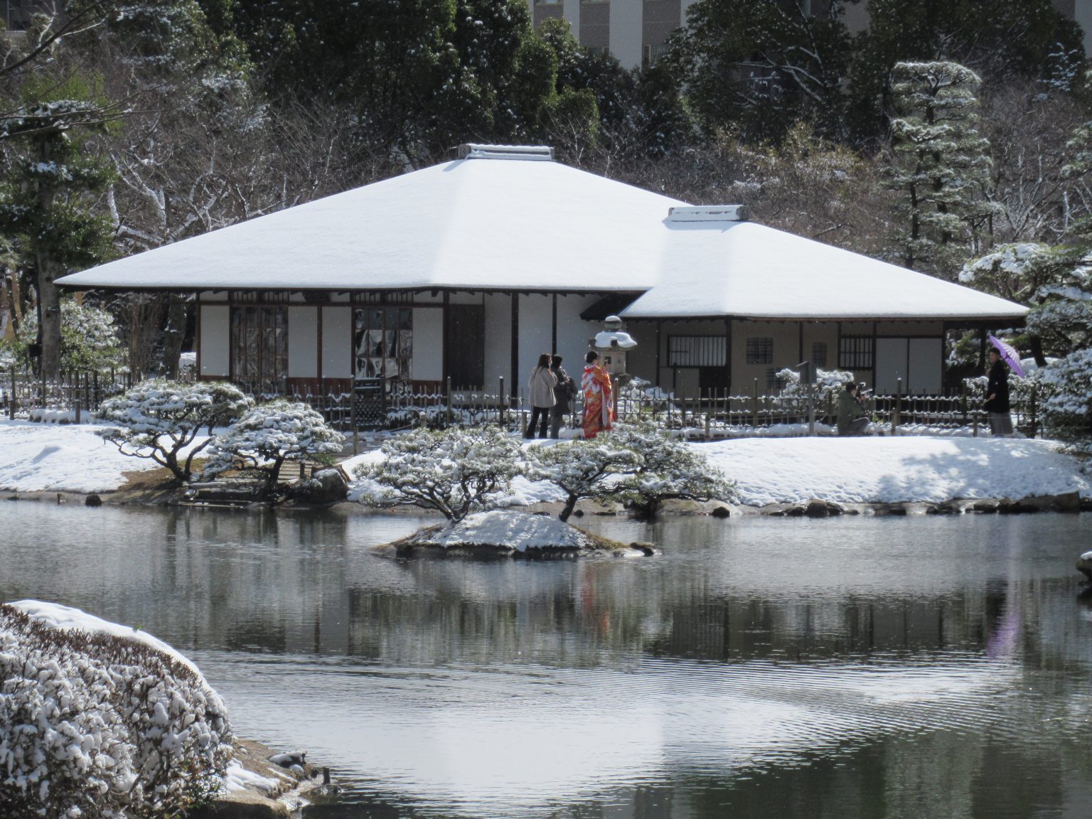 Daifuku and Frozen Landscapes: The Rarest Side of Shukkeien - Joy in ...